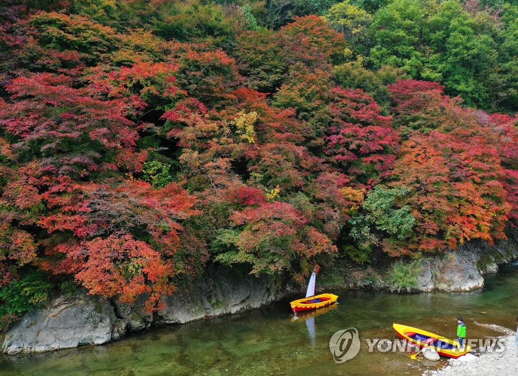 가을로 짙게 물드는 태백 연합뉴스