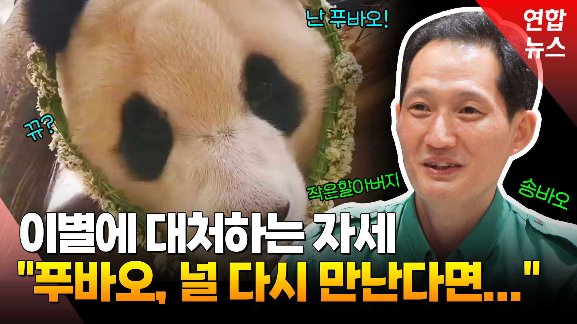 [영상] 중국 가는 에버랜드 판다 푸바오…사육사 '송바오' 심경은 | 연합뉴스