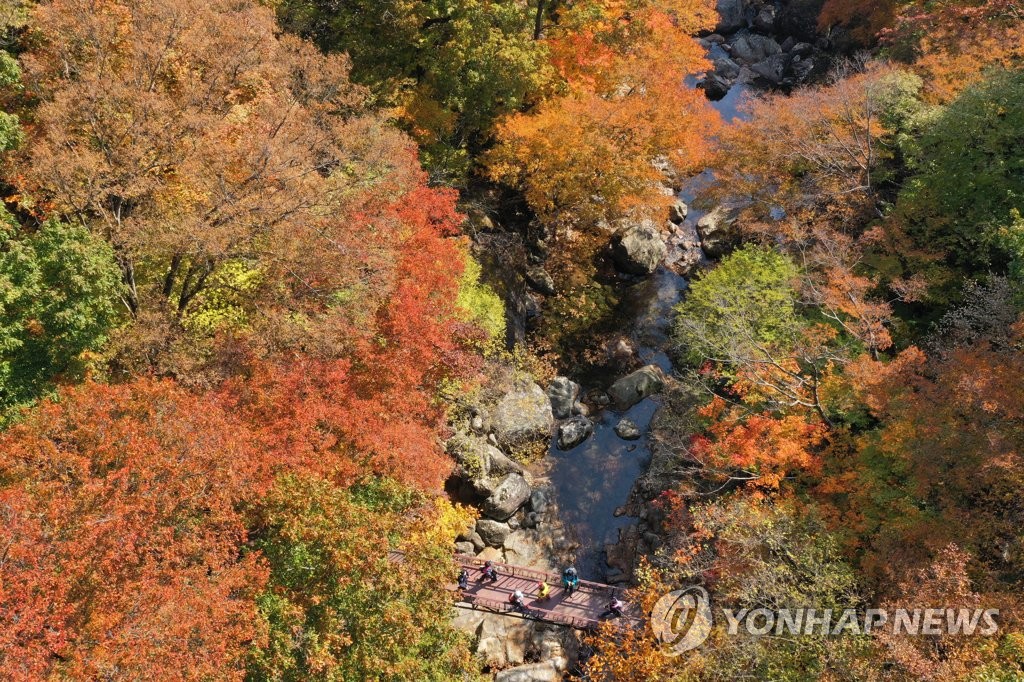지리산 피아골 단풍산행 | 연합뉴스