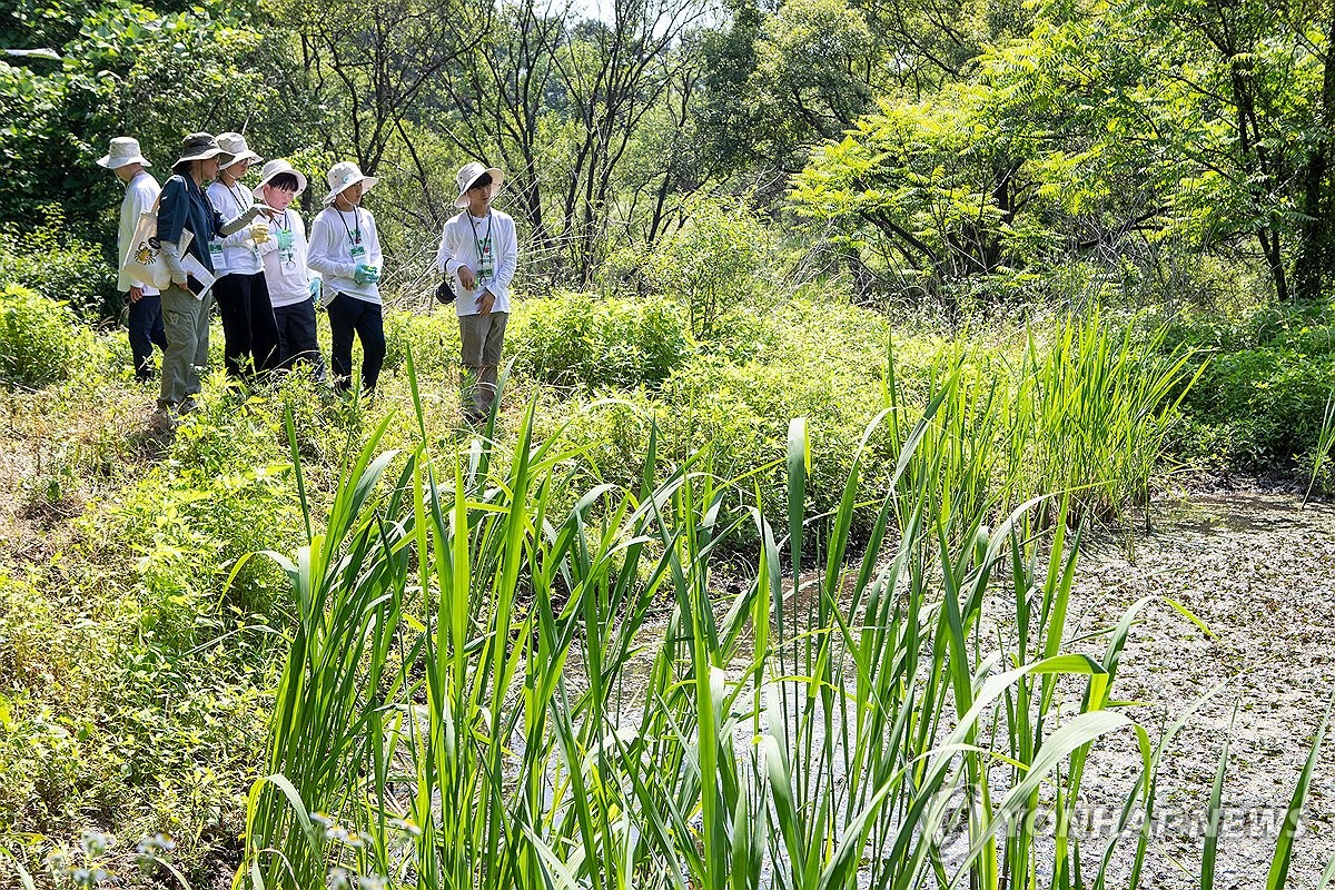 KT, 'KT DMZ 생태보전단' 프로그램 진행 | 연합뉴스