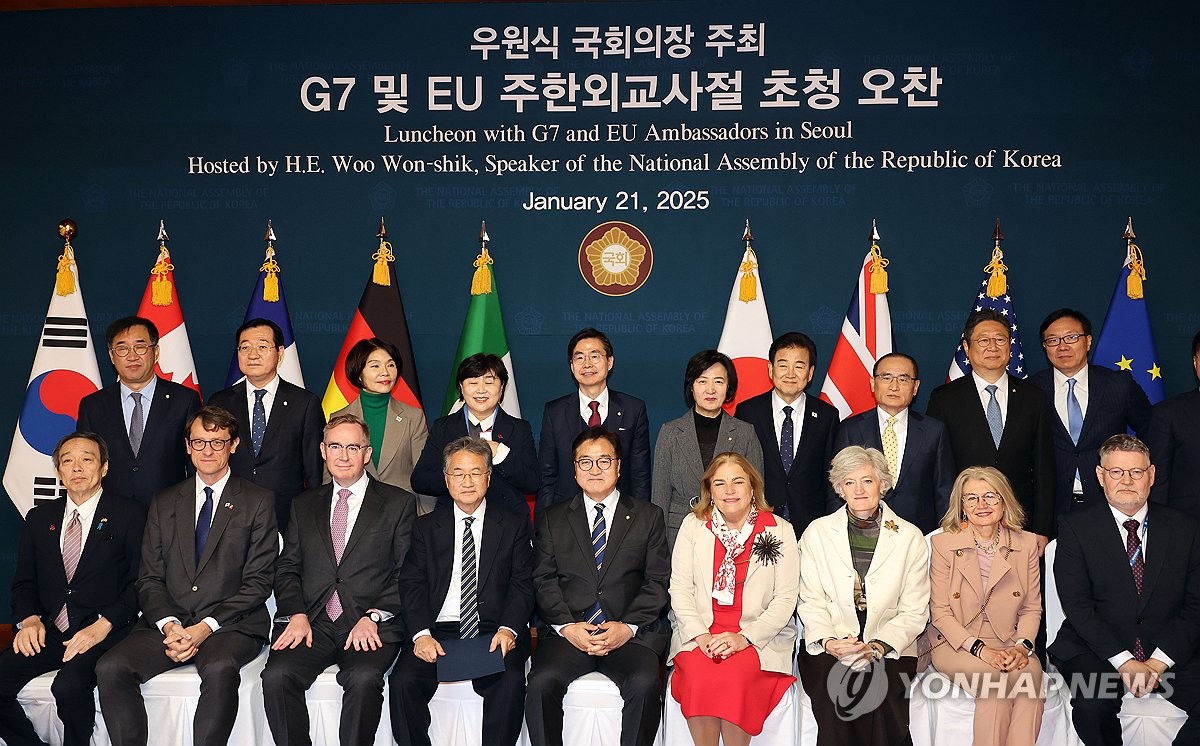 Parliamentary leader meets G7, EU envoys | Yonhap News Agency